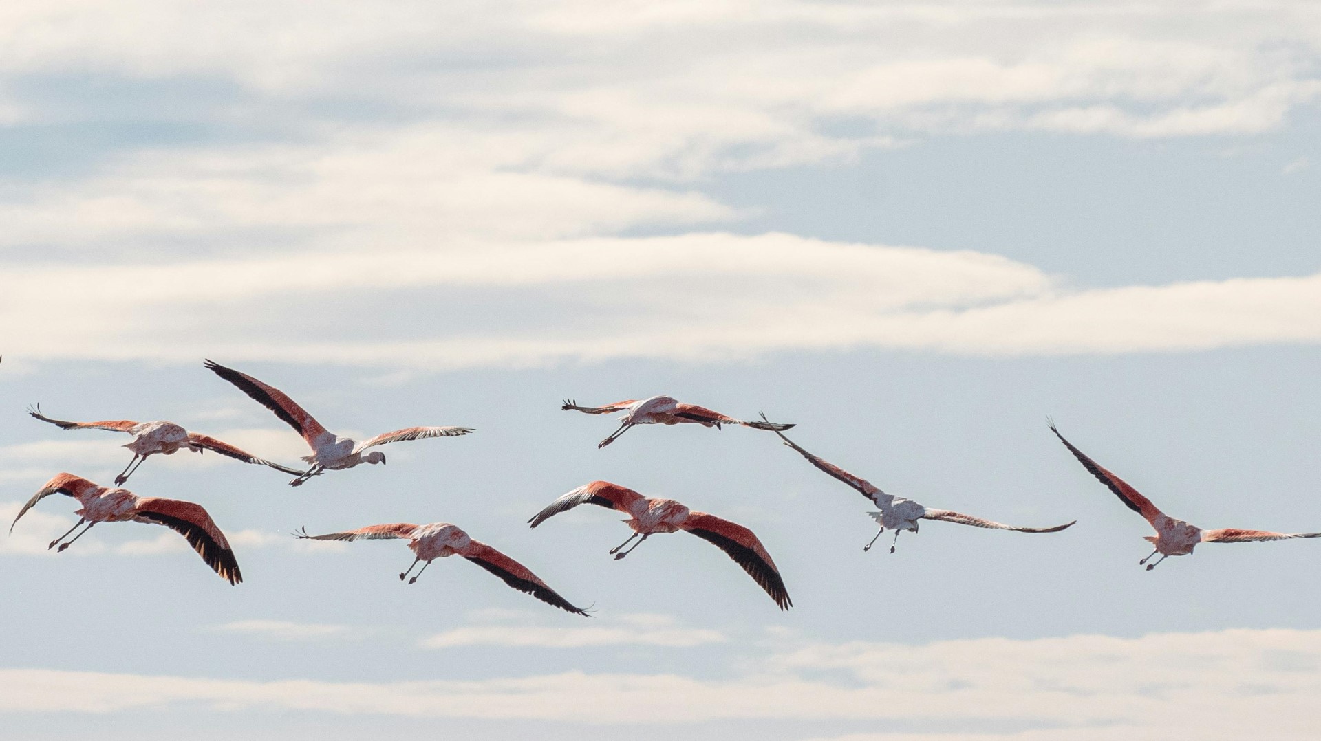 Formentera Punta Rasa